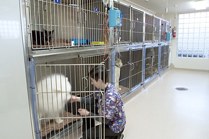 Services - Preston Vet : Preston Vet