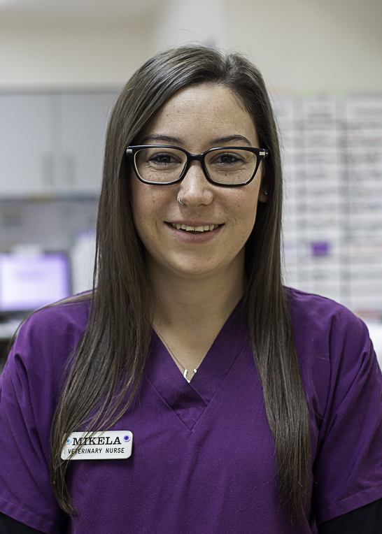 People - Preston Vet : Preston Vet