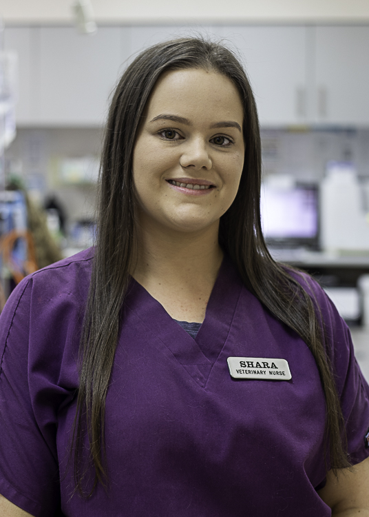 People - Preston Vet : Preston Vet